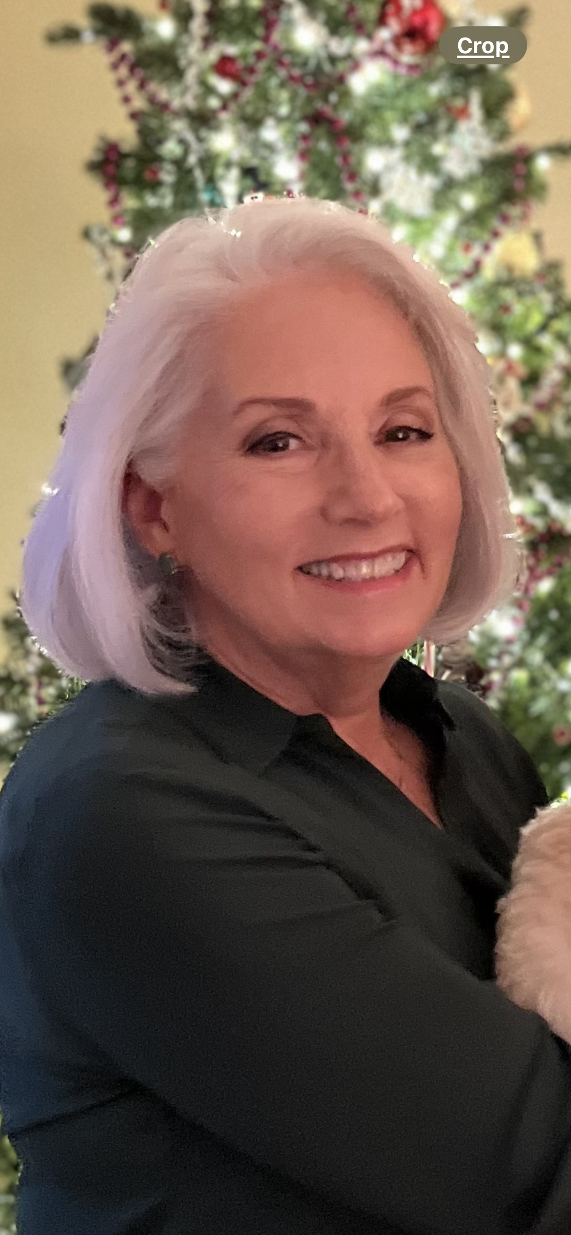 Alferman, Frances Ann (nee Siebert) - Kutis Funeral Home Inc