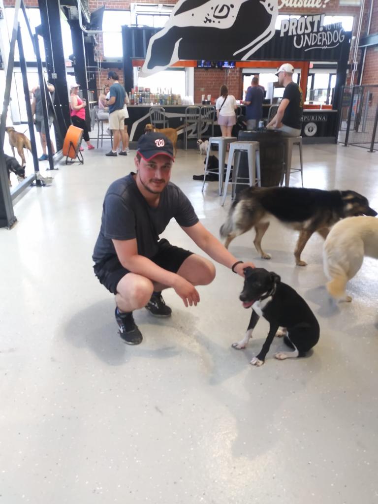 Blosser, Andrew Nicholas "Drew" - Kutis Funeral Home Inc